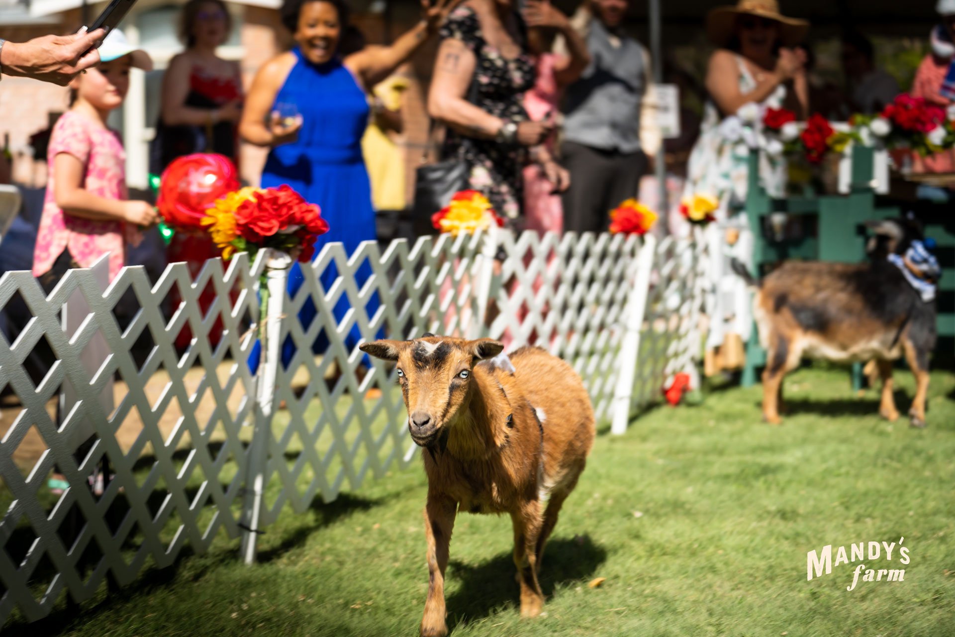 SOLD OUT | Kentucky Derby Party — Mandy's Farm