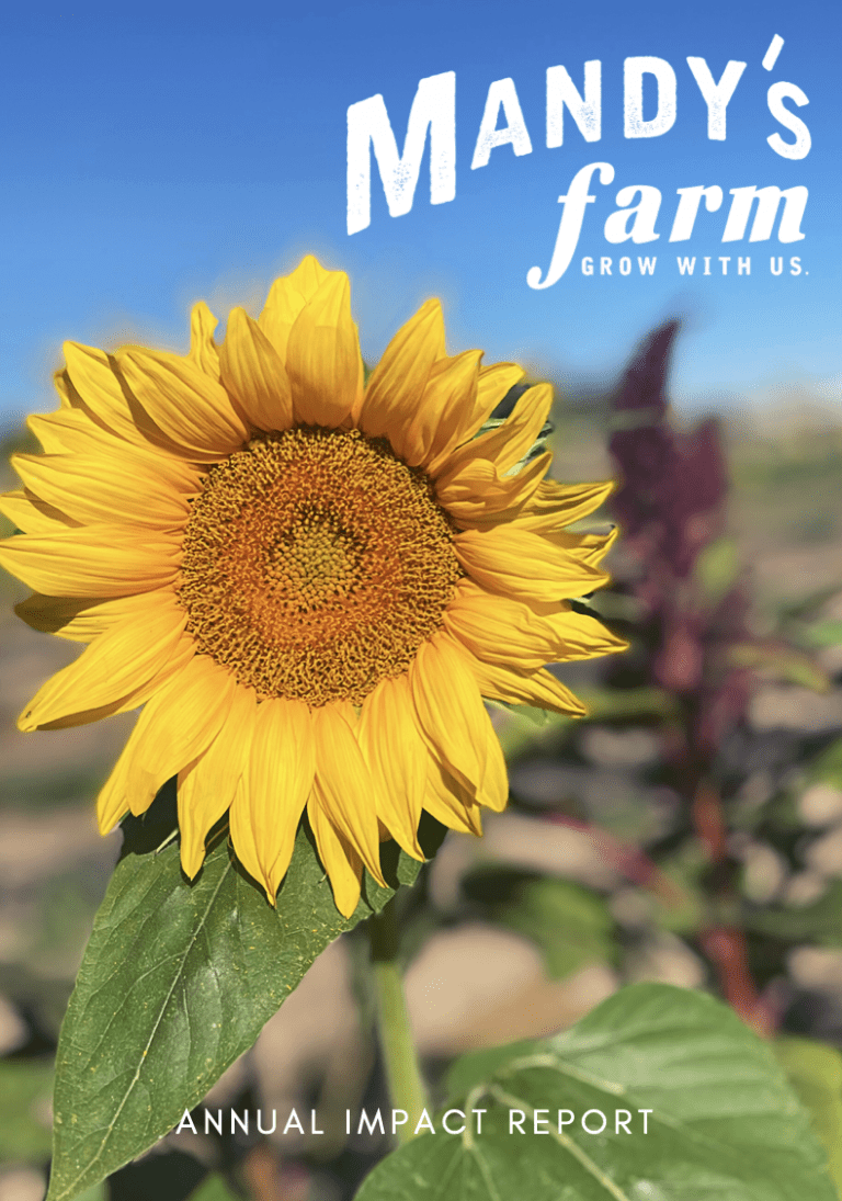 About - Mandy's Farm